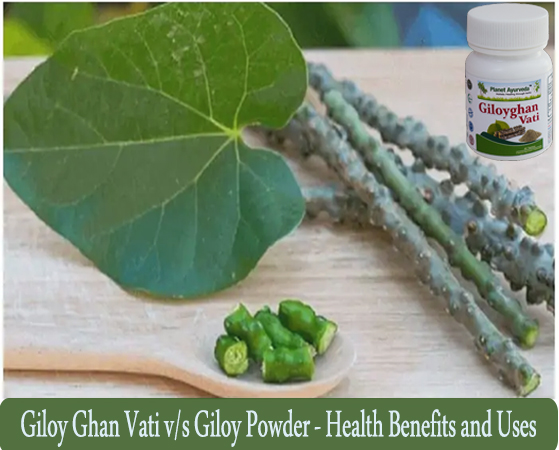 Giloy Ghan Vati v/s Giloy Powder - Health Benefits and Uses